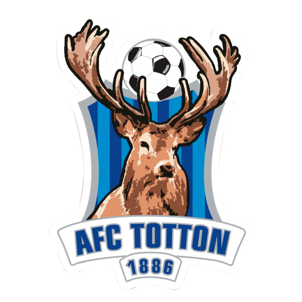 AFC Totton - Club Shop - footballkitsdirect.com
